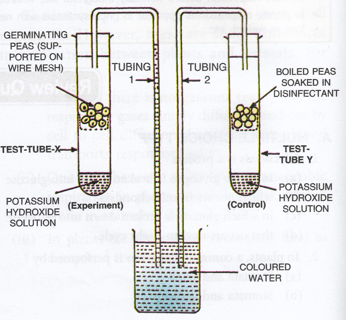 The Following Diagram Refers To An Apparatus Which Is Used KnowledgeBoat