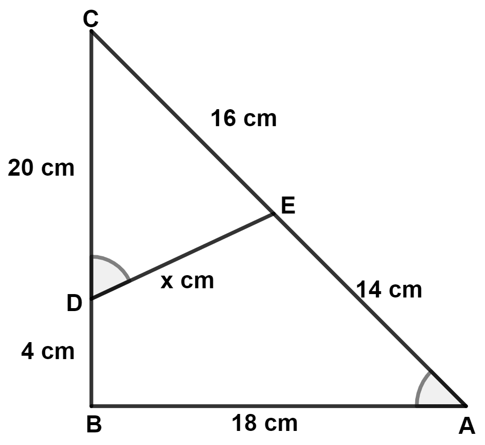 Assertion (A) : In the figure given below | KnowledgeBoat