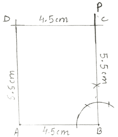 Construct a rectangle ABCD; if: AB = 4.5 cm and BC = 5.5 cm. | KnowledgeBoat