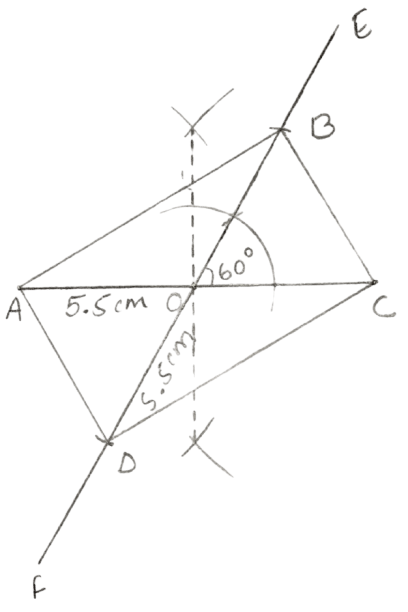 Construct a rectangle ABCD; if : each diagonal is 5.5 cm and | KnowledgeBoat