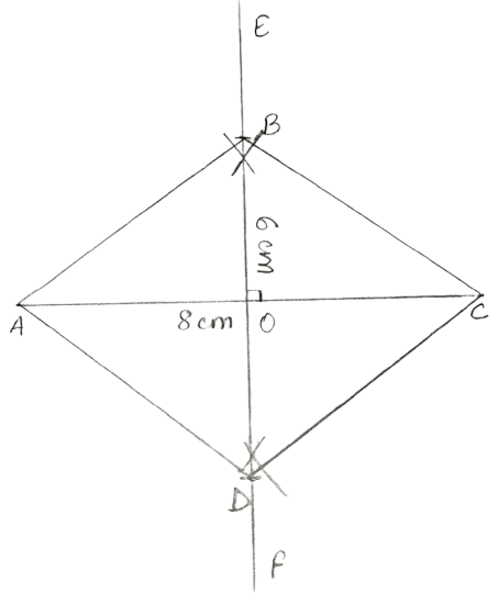 Construct a rhombus ABCD, if : diagonal AC = 8 cm and | KnowledgeBoat