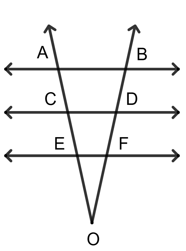 In the given figure, AB || CD || EF. If AC = 7 cm, AE = 14 | KnowledgeBoat