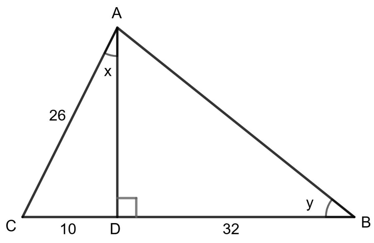 In the following figure : AD ⊥ BC, AC = 26, CD = 10, BC = 42, ∠DAC = x and ∠B = y. Find the ...