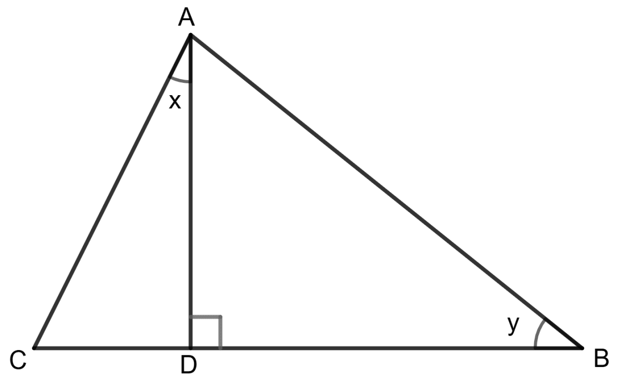In the following figure : AD ⊥ BC, AC = 26, CD = 10, BC = 42, ∠DAC = x and ∠B = y. Find the ...