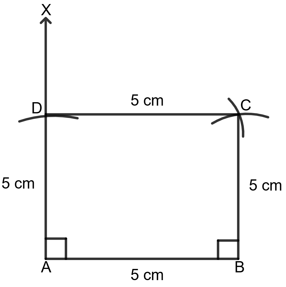 Construct a square ABCD in which each side = 5 cm. | KnowledgeBoat