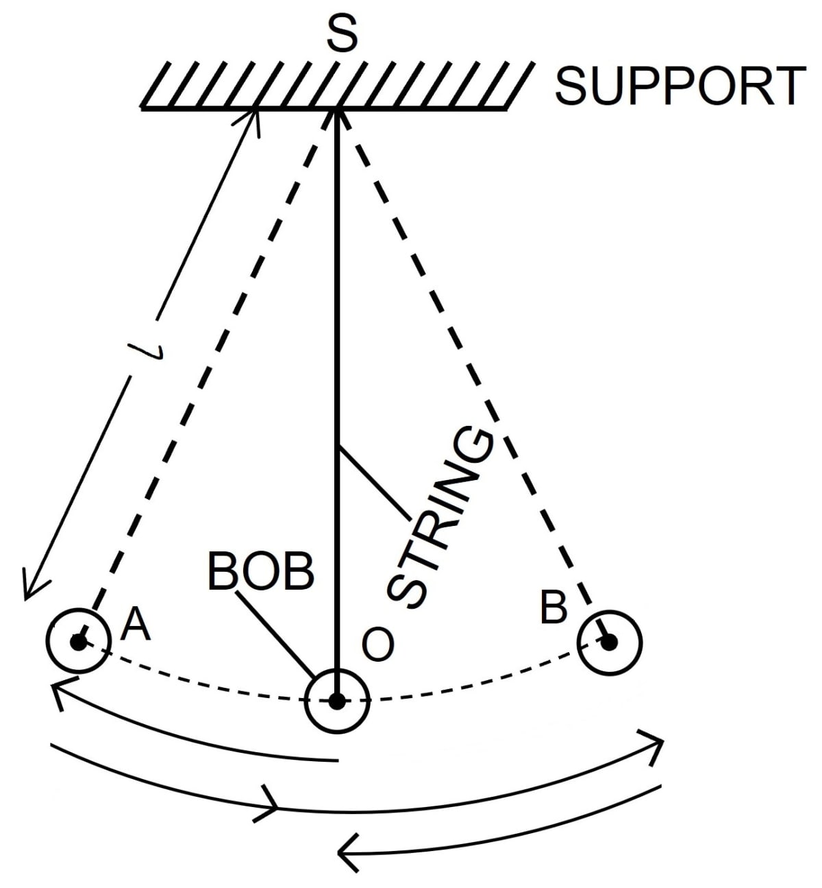 Draw A Neat Diagram Of A Simple Pendulum Show On It The KnowledgeBoat