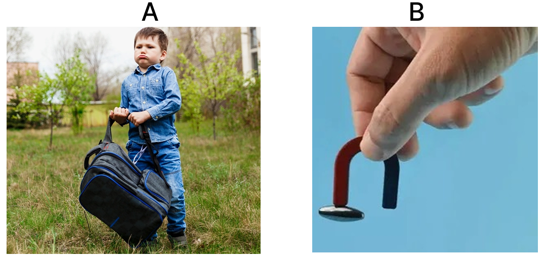 Chapter 3: Force | Solutions for Class 6 ICSE Physics Viva Education ...