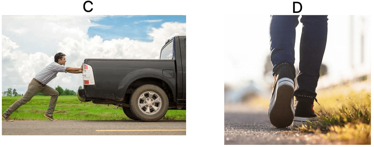 Chapter 3: Force | Solutions for Class 6 ICSE Physics Viva Education ...